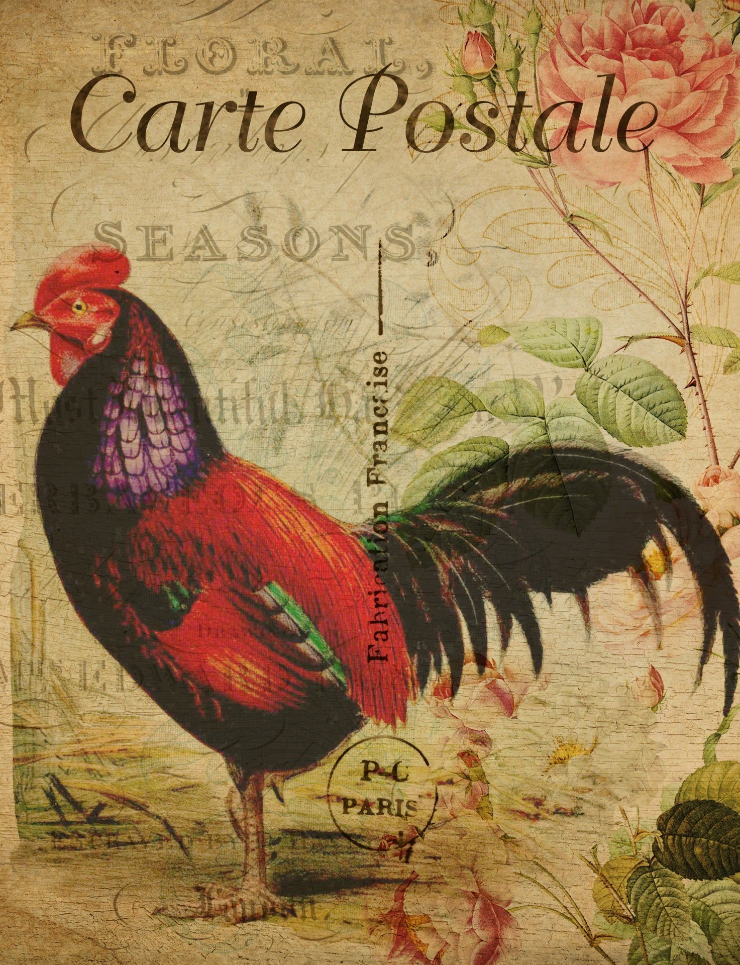 Postcards from the Edge – BiggerChickenApparel